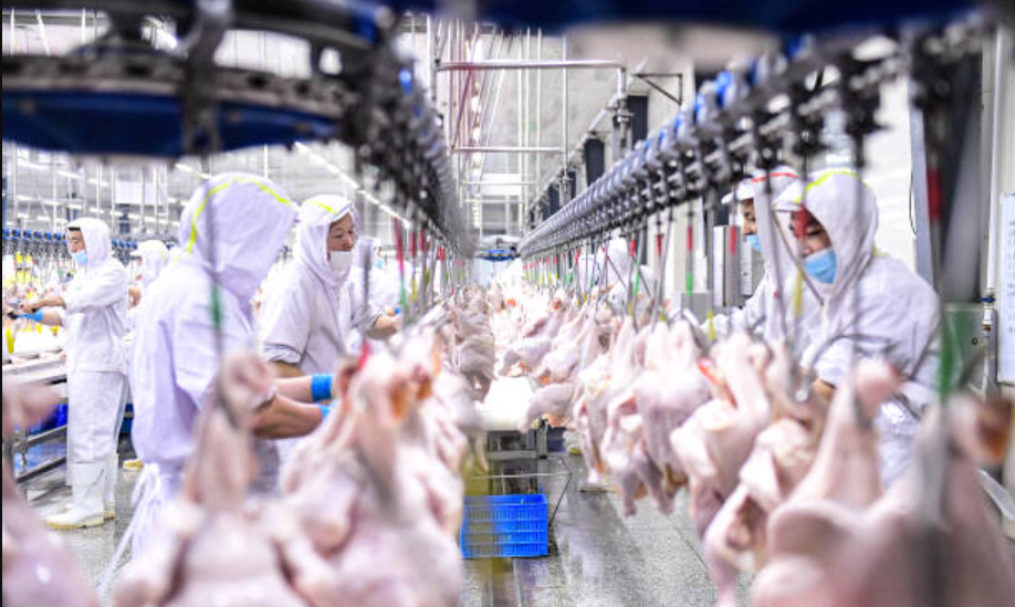 Mississippi Poultry Plant Faces $212,000 Fine Following Fatal Accident ...