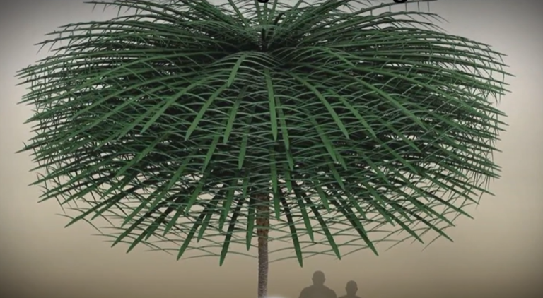 Ancient Tree Unveils Surprising Secrets, Leaves Scientists in Awe – The ...