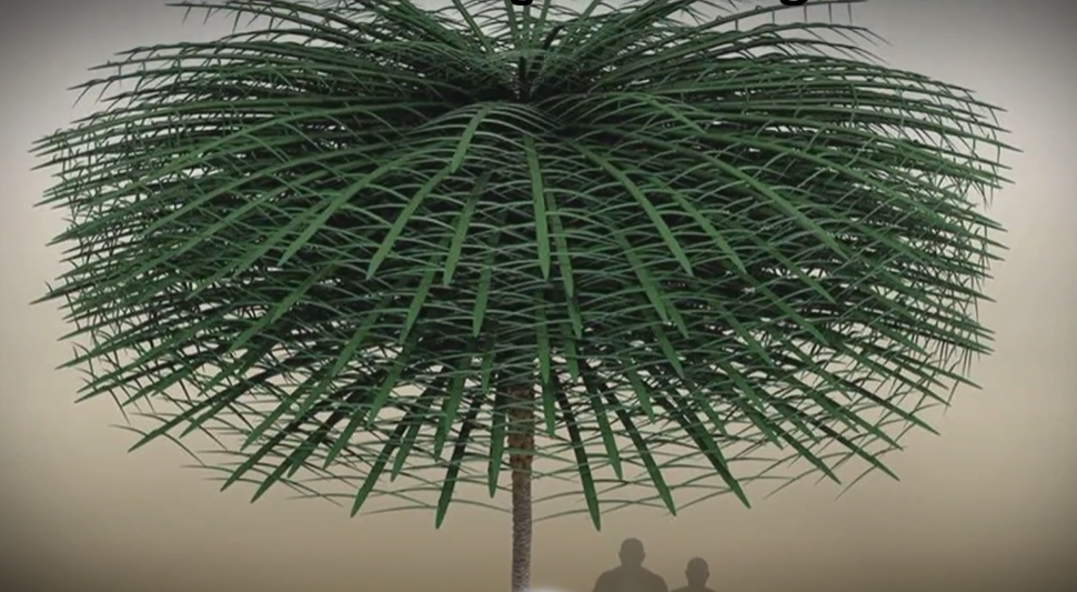 Ancient Tree Unveils Surprising Secrets, Leaves Scientists in Awe – The ...