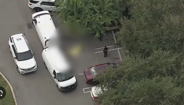 Shocking Murder in Miami: Victim Found Dead in Apartment Parking Lot ...